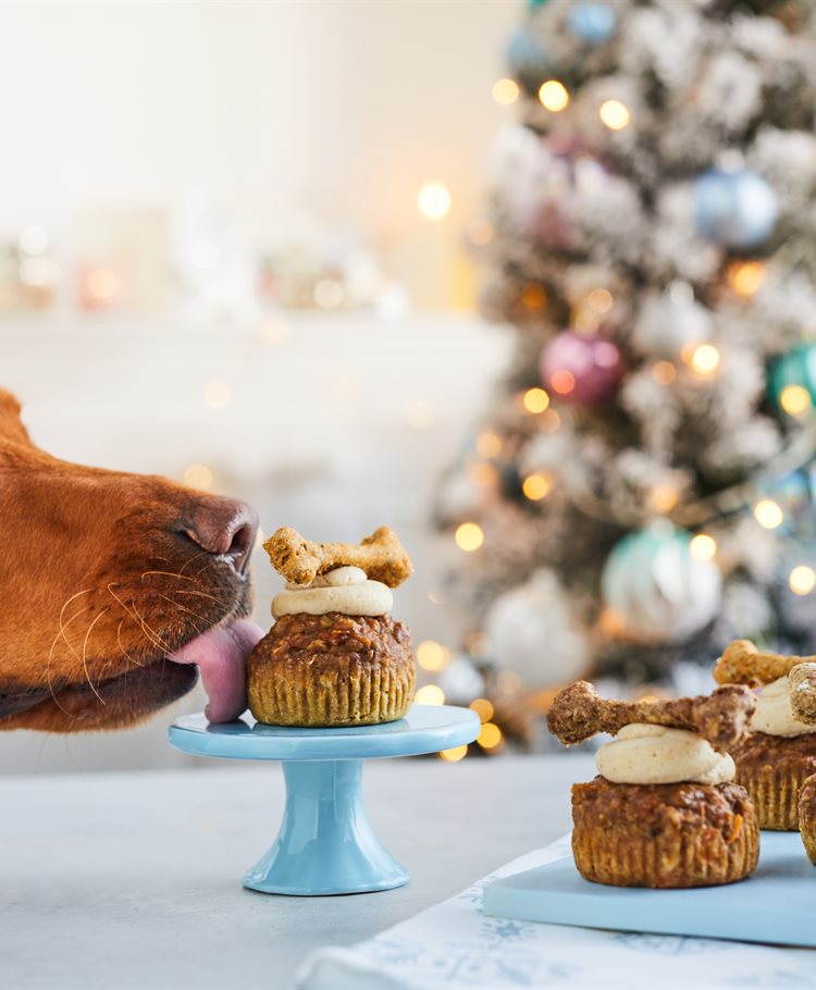 Dog Pupcakes Recipe | Dr. Oetker